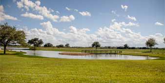 Texas Waterfowl Hunting at Pintail Hunting Club - Garwood, TX
