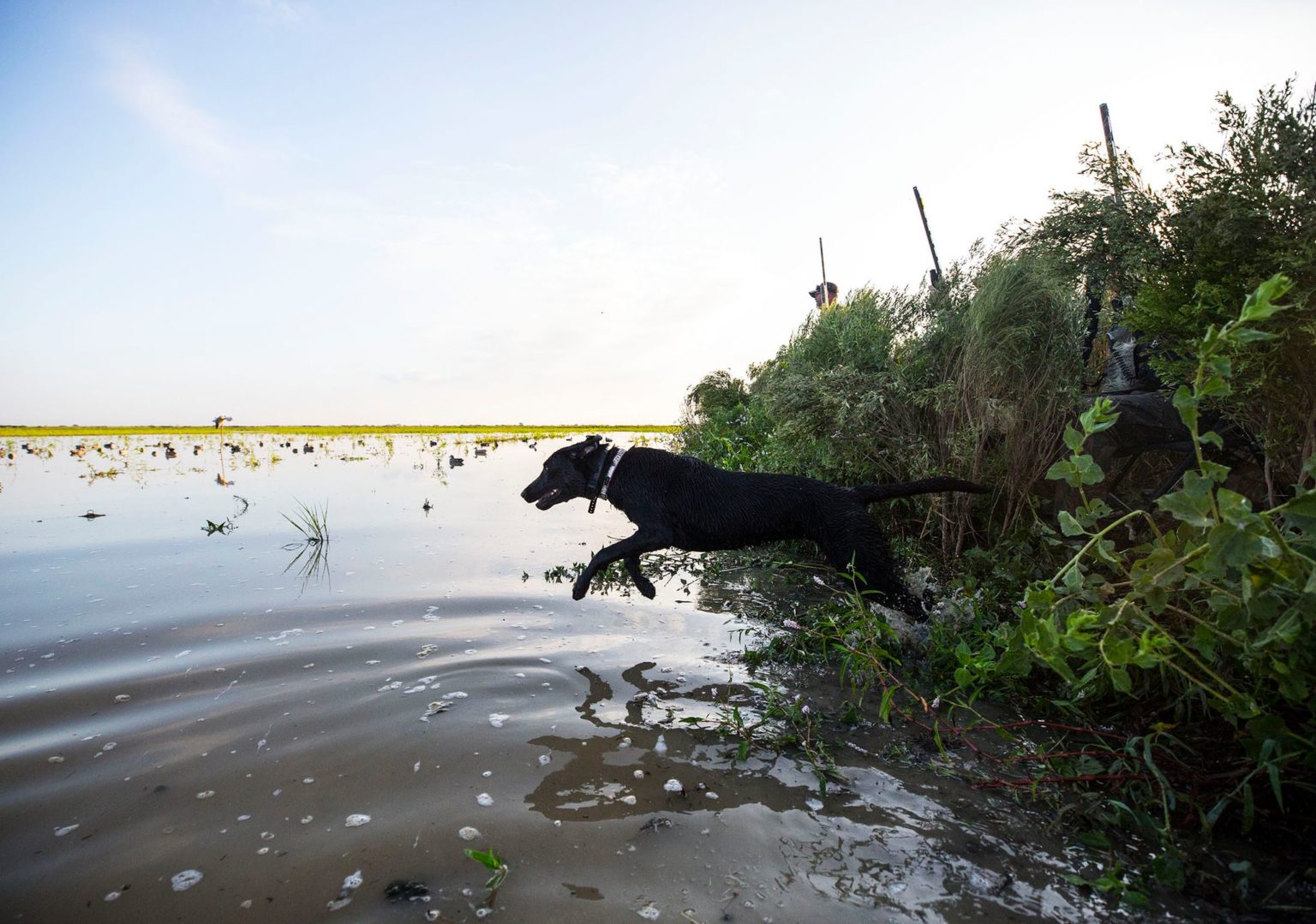 Guided Hunts for Texas Waterfowl/Duck Hunting